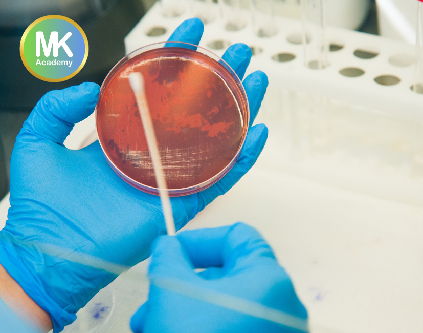 Apa Tujuan Pengujian Mikrobiologi? - MK Training