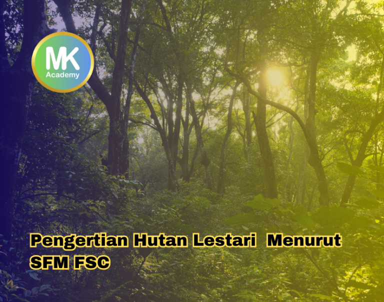 Pengertian Hutan Lestari Menurut SFM FSC - MK Training